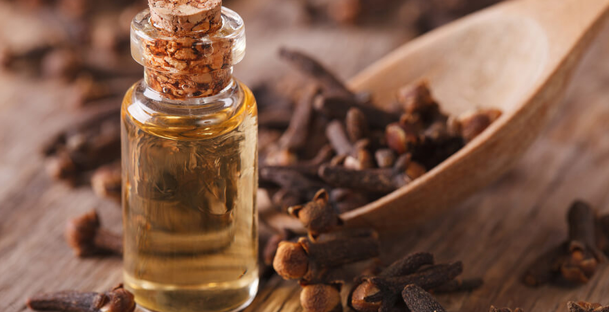 Clove oil for teeth and gums